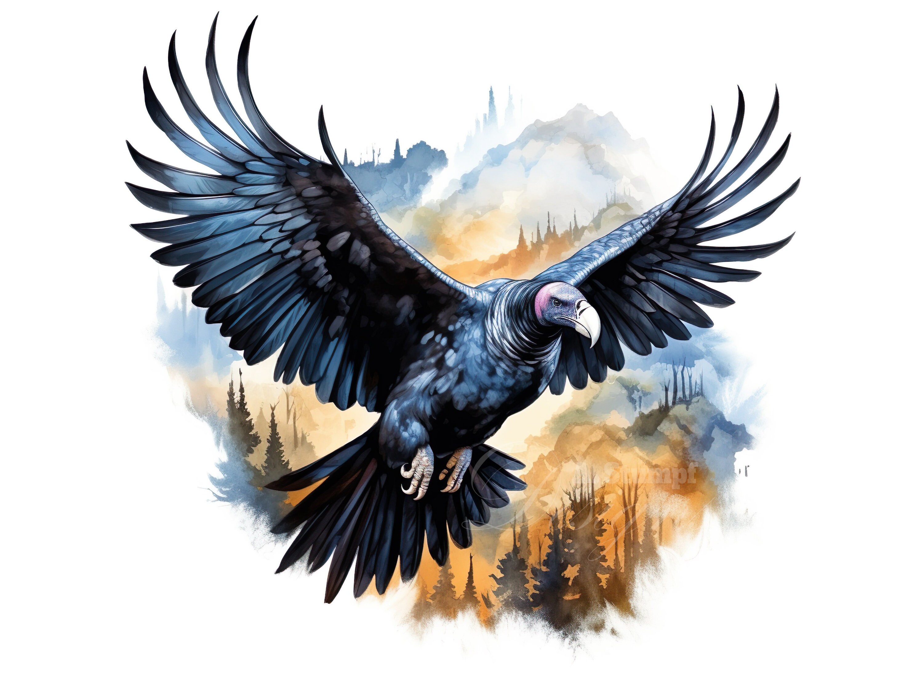 10 Flying Condor Clipart Set Digital Watercolor Painting Exotic ...
