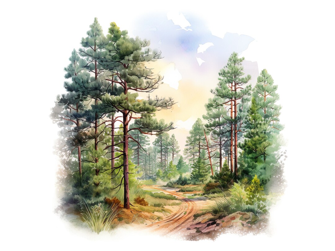 10 Pine Forest Landscape Scene Clipart Set Digital Watercolor Woodland ...