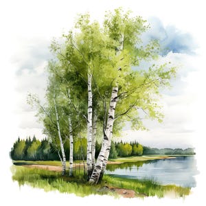 10 Birch Tree Clipart Nature Clip Art Bundle Watercolor Printable Wall ...