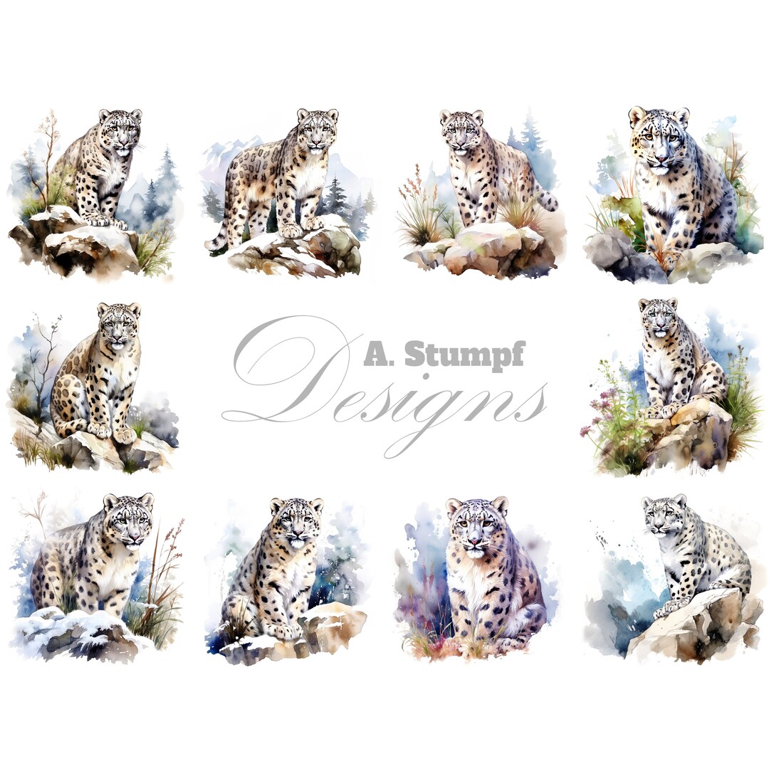 Snow Leopard Clipart Set of 10 High Quality Jpgs Digital Watercolor Art ...