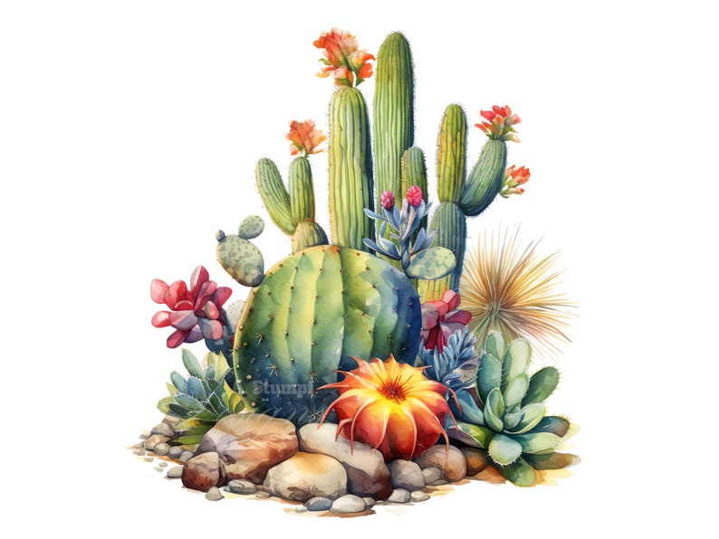 Cactus Clipart Set Printable Plant Art Botanical Clip Art Watercolor ...