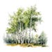 10 Birch Tree Clipart Nature Clip Art Bundle Watercolor Printable Wall ...