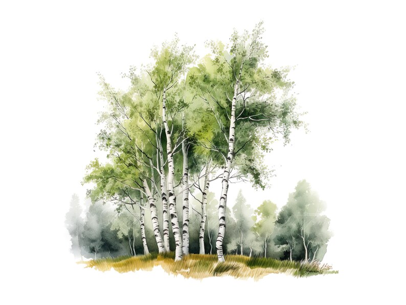 10 Birch Tree Clipart Nature Clip Art Bundle Watercolor Printable Wall ...