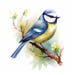 10 Blue Tit Bird Clipart Set Digital Watercolor Painting Forest ...