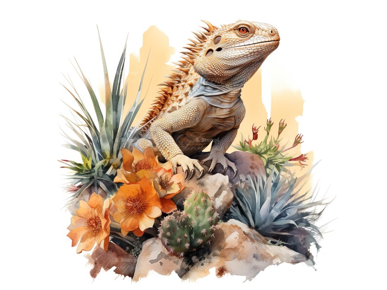 Bearded Dragon Lizard Watercolor Clipart Bundle Reptile Graphics Animal ...