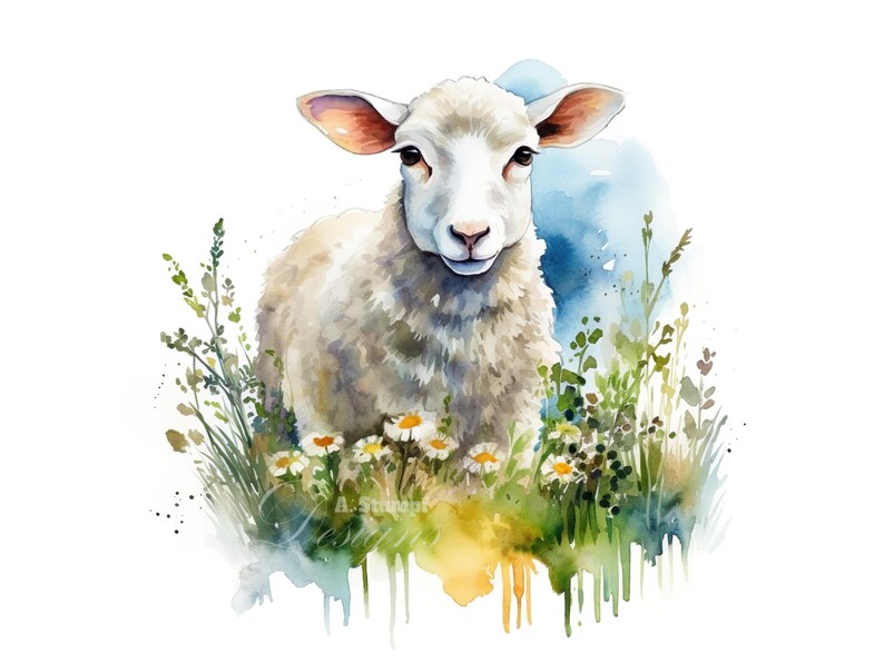 10 Wooly Fluffy Sheep Clipart Set Digital Watercolor Painting Farm ...
