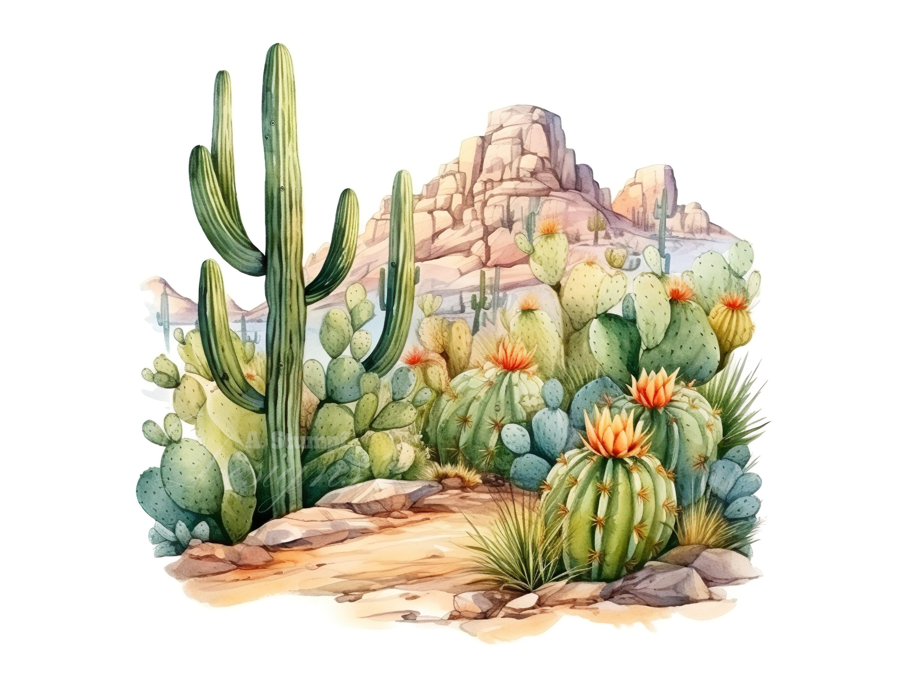 Cactus Clipart Set Printable Plant Art Botanical Clip Art Watercolor ...