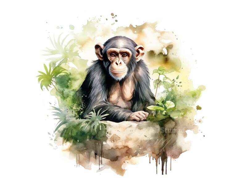 Chimpanzee, Clipart Set, Digital Chimp Art, Ape Clip Art, Primate ...