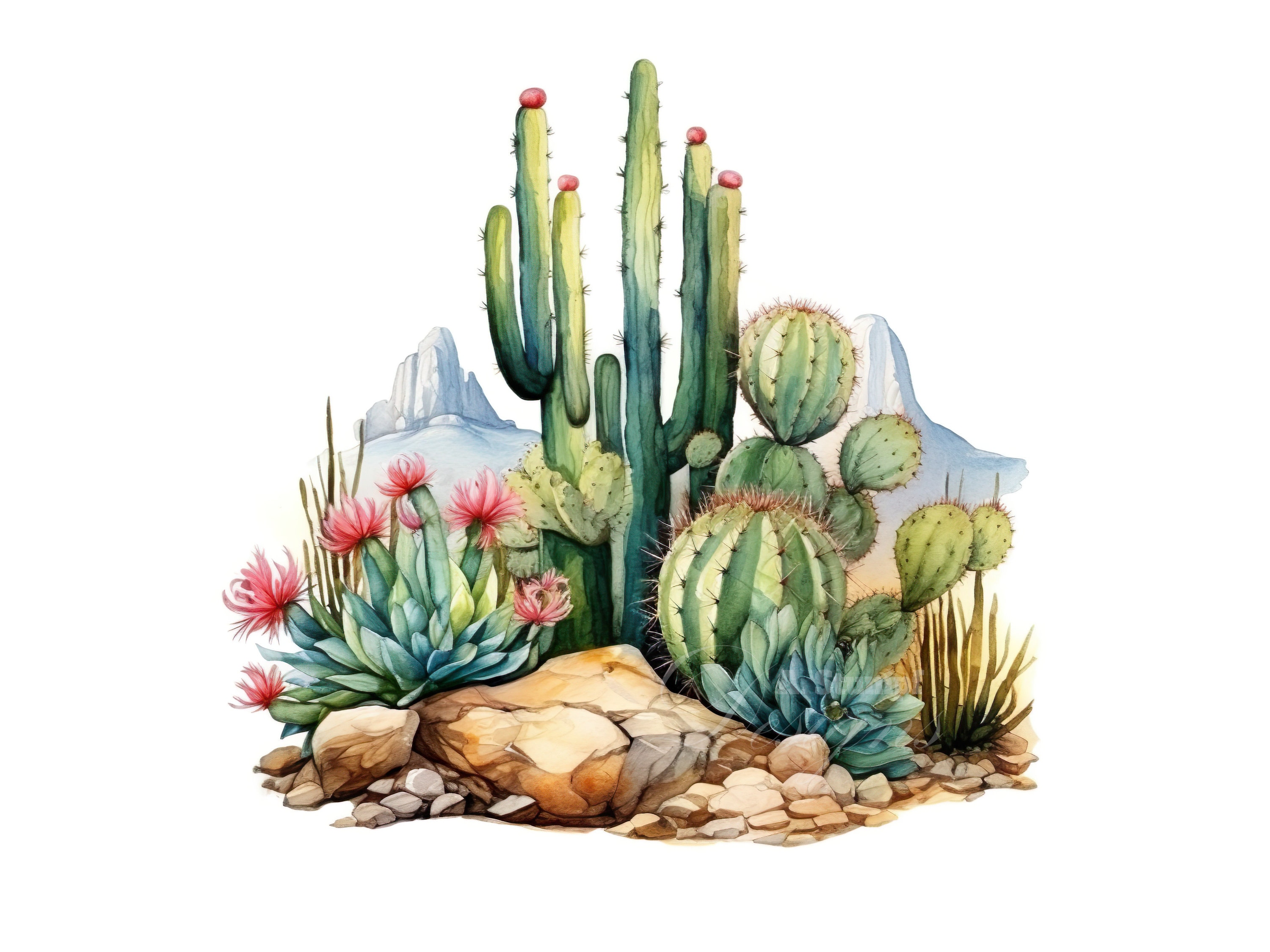 Cactus Clipart Set Printable Plant Art Botanical Clip Art Watercolor ...