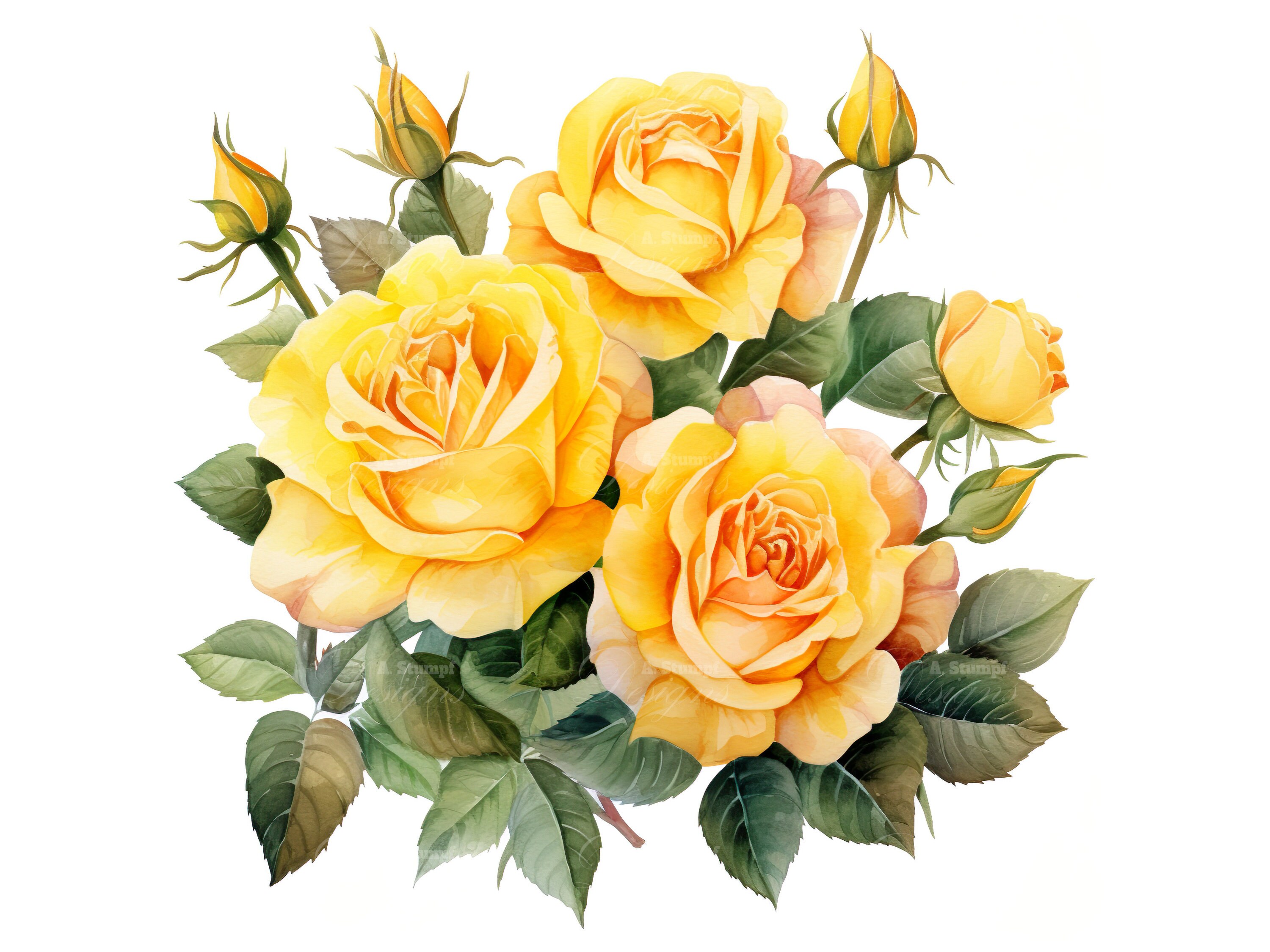 Yellow Roses Clipart Set Watercolor Flowers Bundle Floral Graphics ...