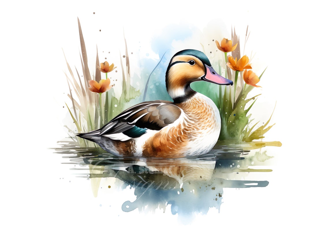 10 Duck Watercolor Clipart Set Cute Ducklings Illustration Digital Clip ...
