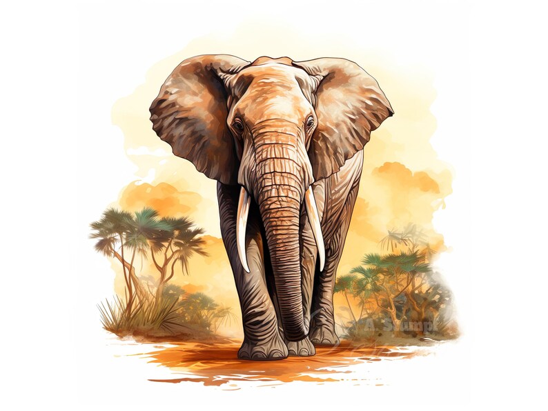 10 Elephant Clipart Set Digital Watercolor Painting African Safari ...