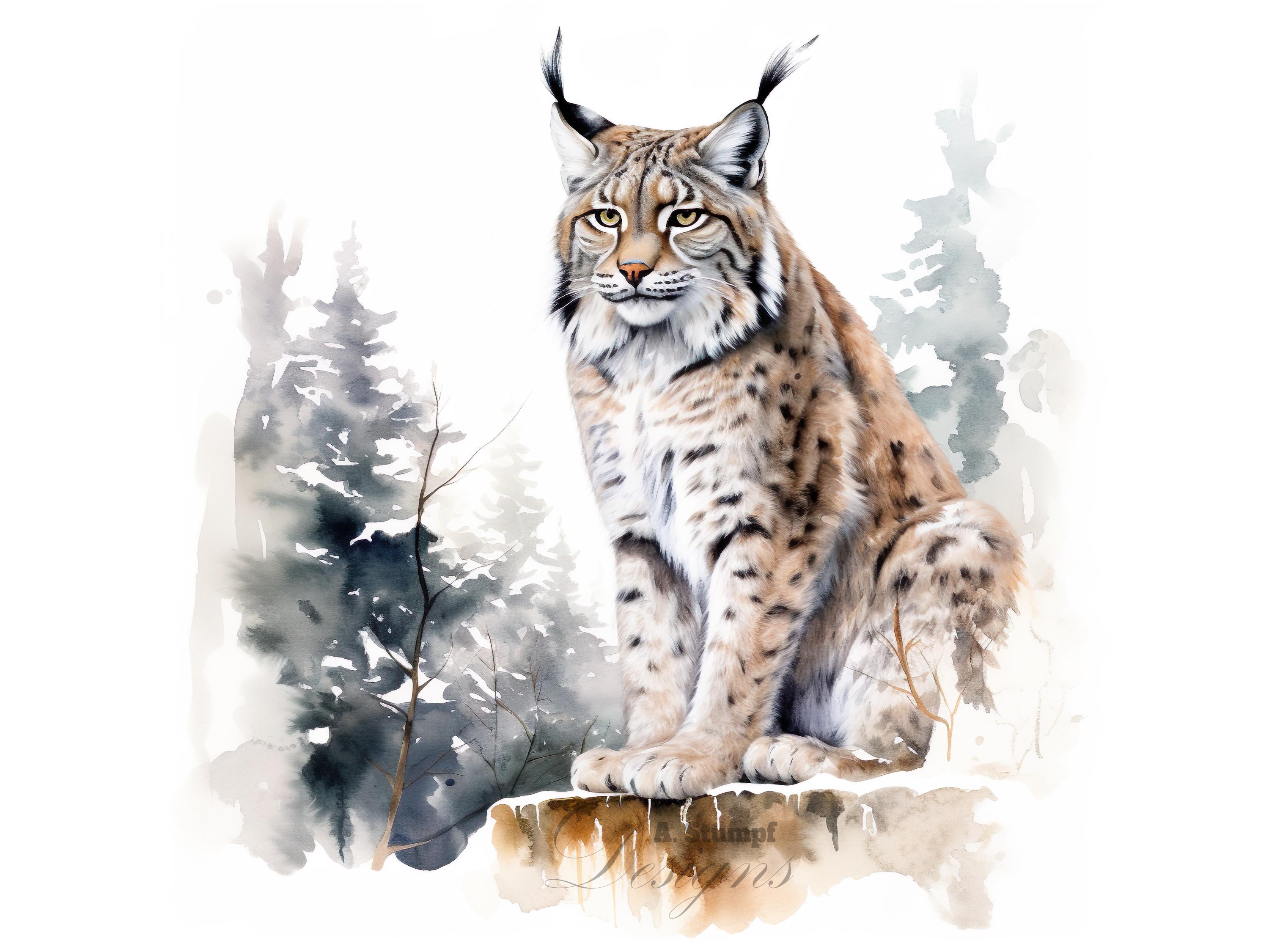10 Lynx Clipart Set Digital Watercolor Painting Woodland Animal Nature ...