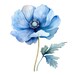 Blue Poppy Clipart Watercolor Bundle Floral Clipart Elegant Flowers ...