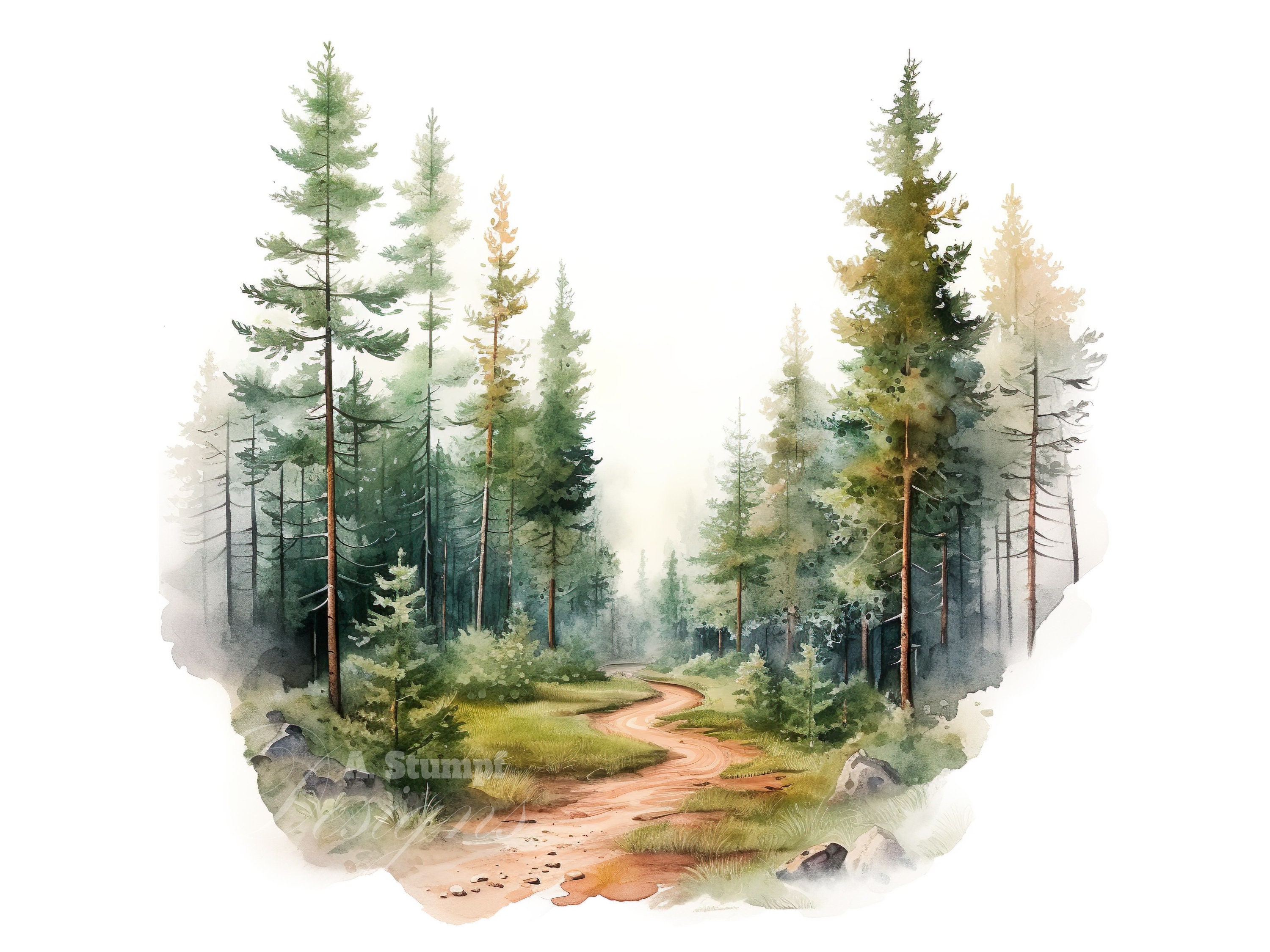 Coniferous Forest Clipart Set, 10 High Quality Jpgs, Forest Landscape ...