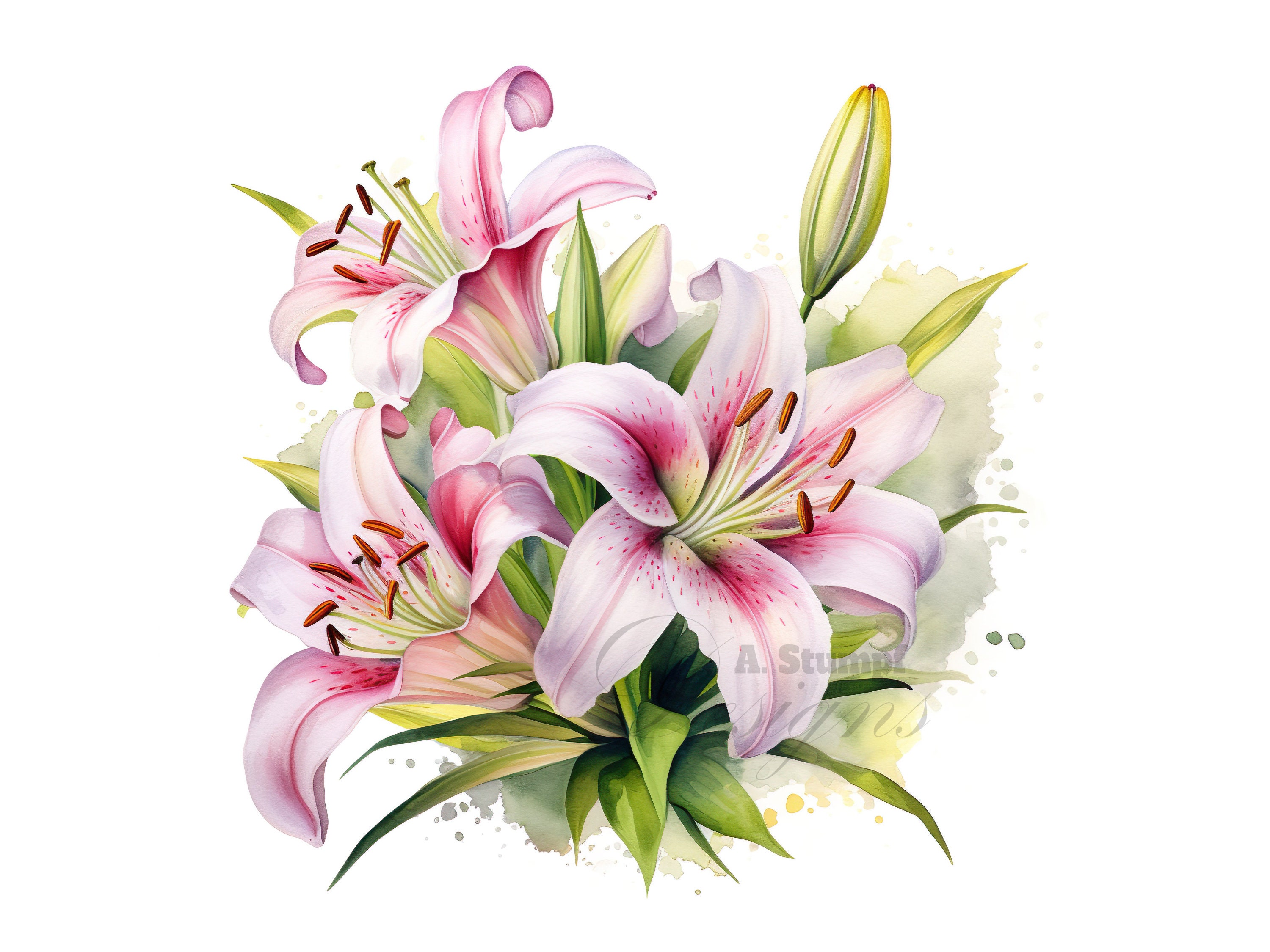 10 Lily Flowers Clipart Digital Watercolor Lilies Paintings Colorful ...