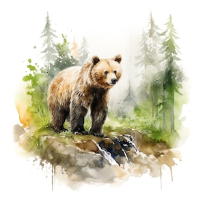 10 Bear Clipart Set Digital Watercolor Mammal Painting Woodland Animal ...