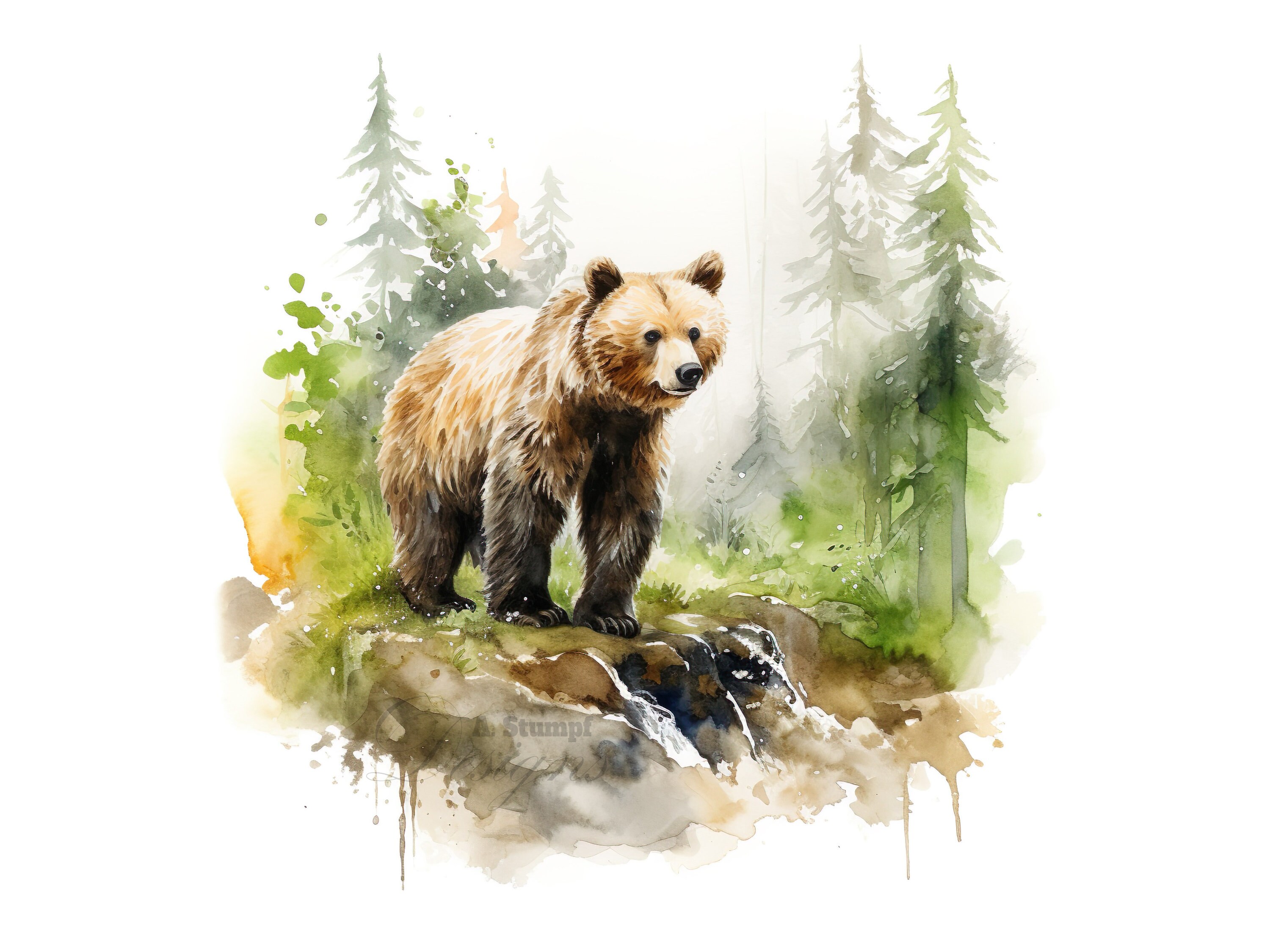 10 Bear Clipart Set Digital Watercolor Mammal Painting Woodland Animal ...