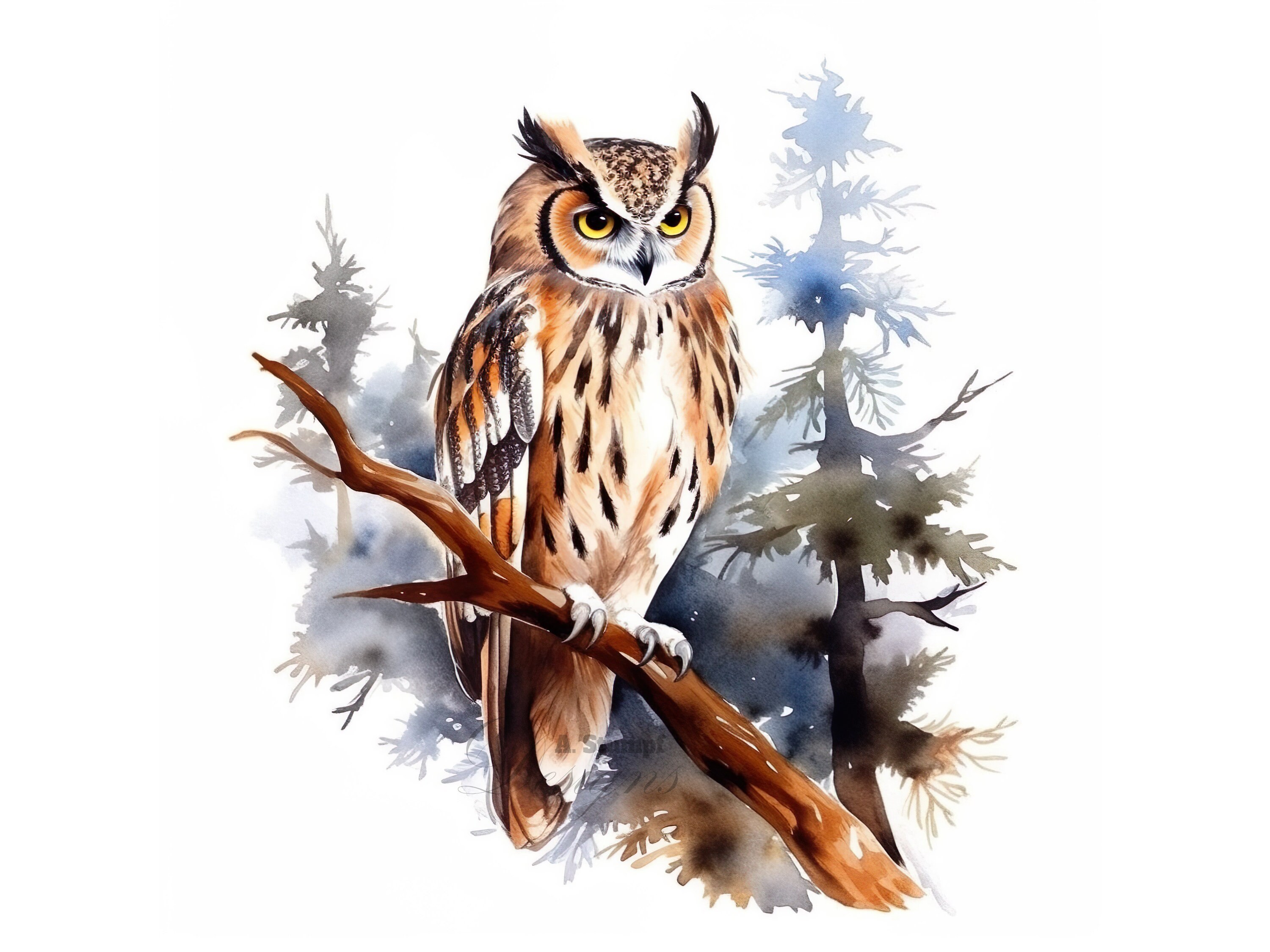 10 Owl Clipart Set Digital Watercolor Painting Rustic Forest Bird ...