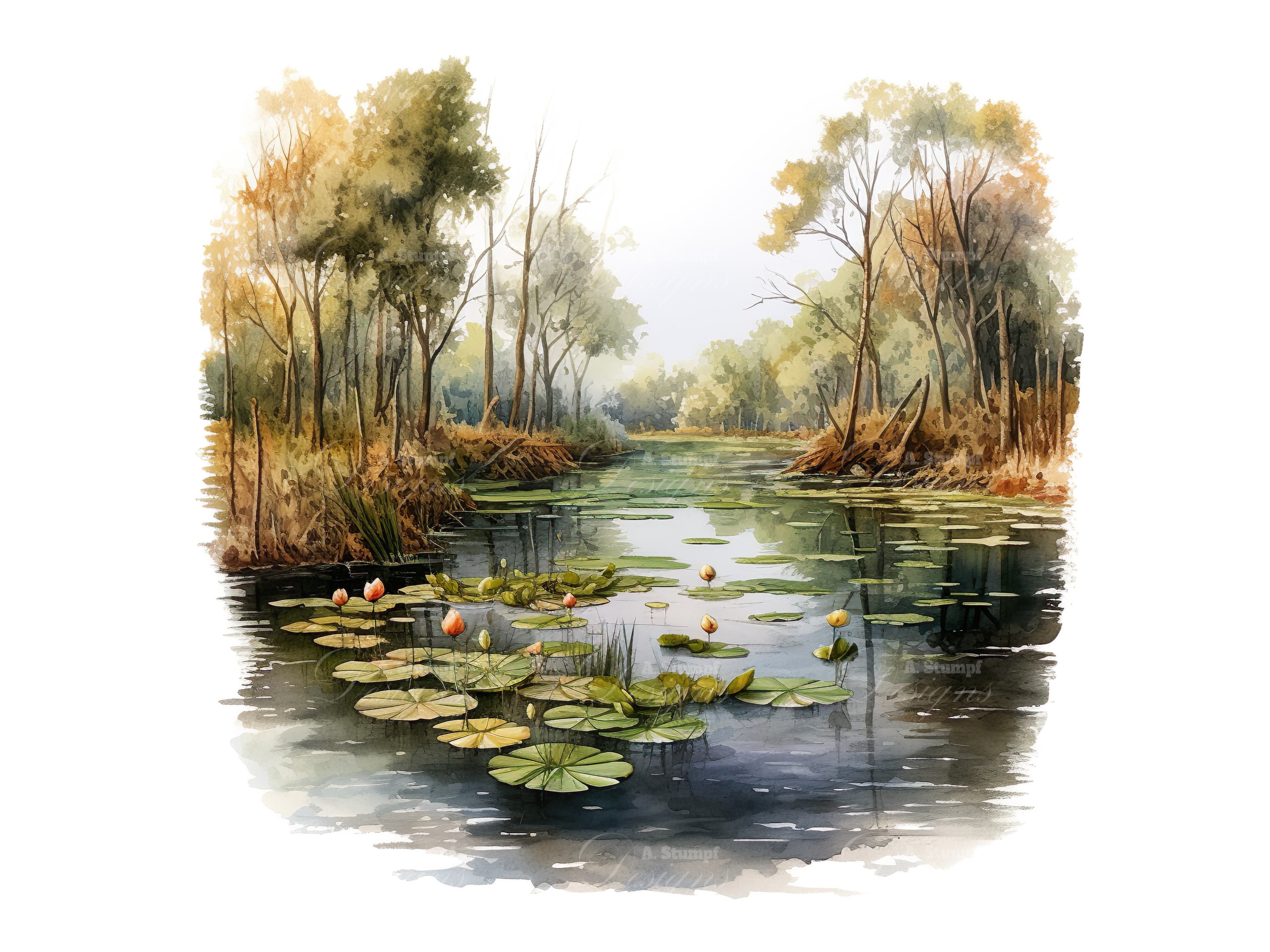 10 Swamp Landscape Clipart Set Wetland Scene Marsh Digital Watercolor ...