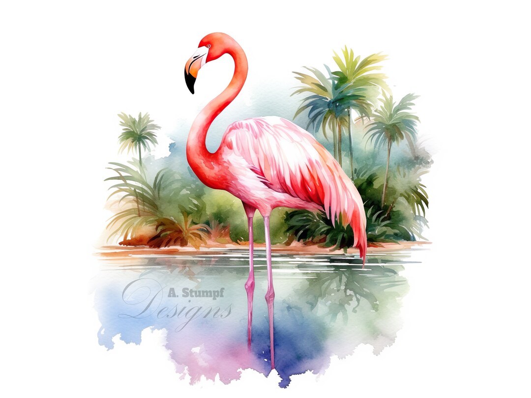 10 Tropical Flamingo Clipart Set, Digital Watercolor Bird Paintings ...