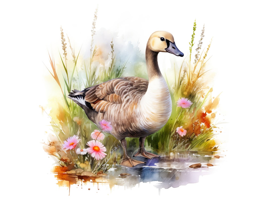 10 Goose Clipart Set Digital Watercolor Painting Farm Animal ...