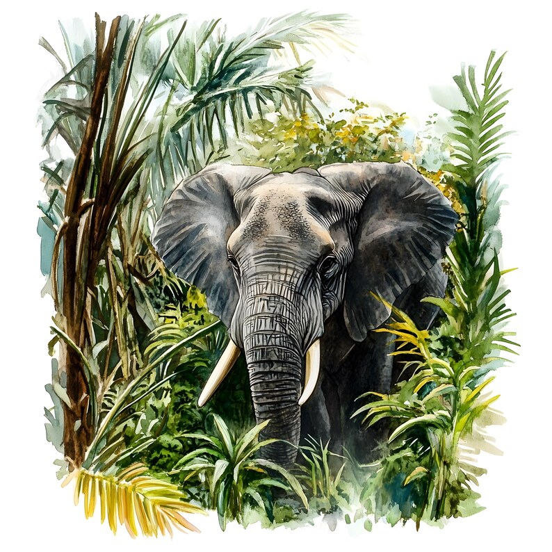 10 Elephant Clipart Set Digital Watercolor Painting African Safari ...