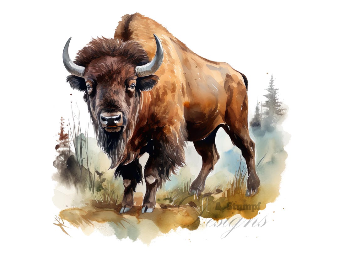 10 Wild Bison Clipart Set Digital Watercolor Nature Painting American ...