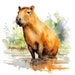 10 Capybara Clipart Set Digital Watercolor Painting Cute Adorable ...