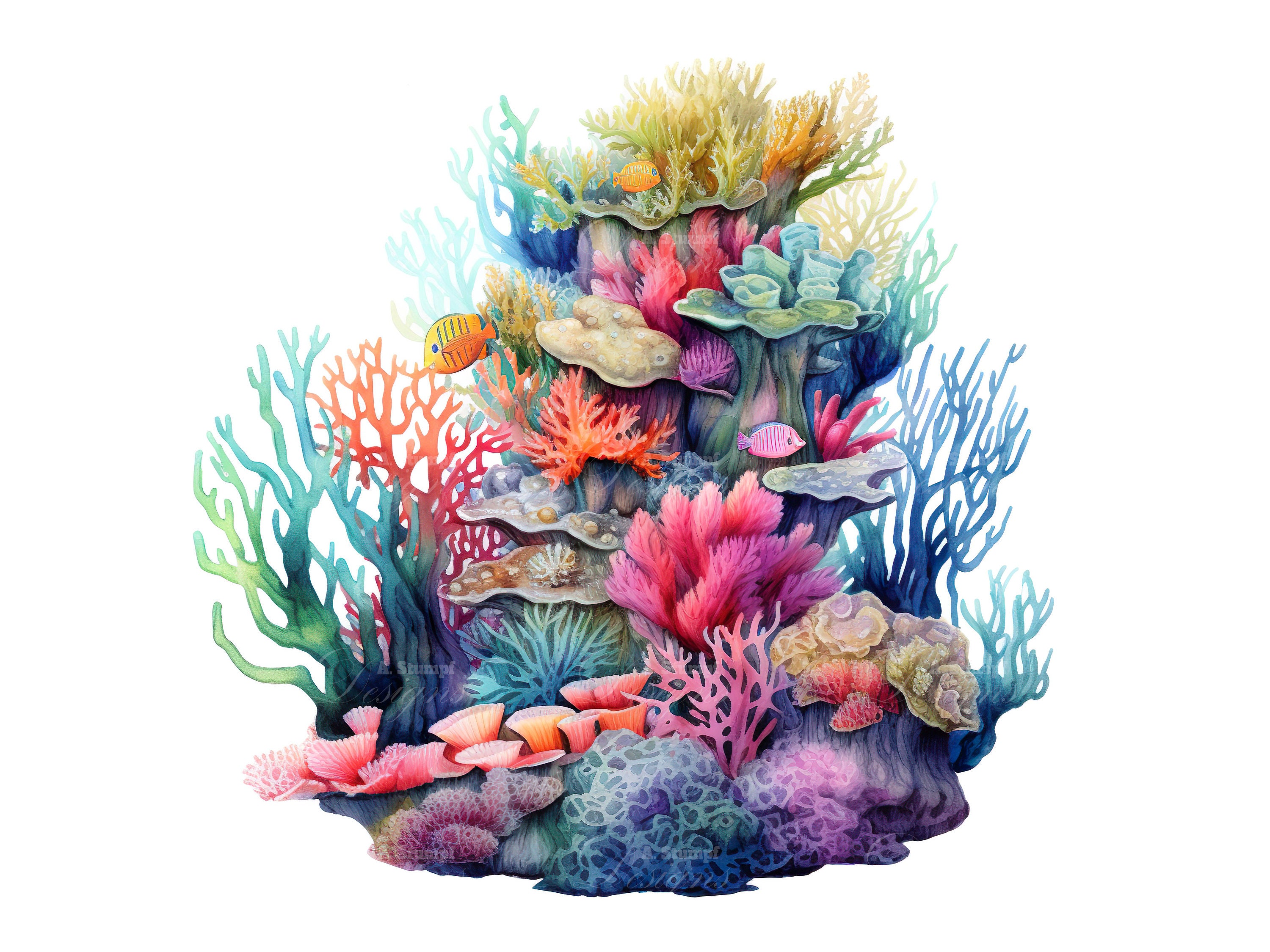 Coral Reef Clipart Ocean Art Bundle Watercolor Underwater Background ...
