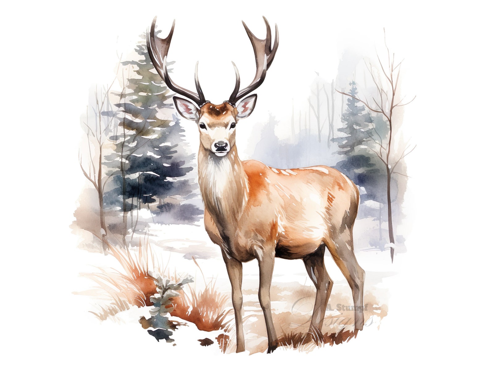Deer Clipart Set of 10 High Quality Jpgs Digital Watercolor Art ...