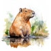 10 Capybara Clipart Set Digital Watercolor Painting Cute Adorable ...