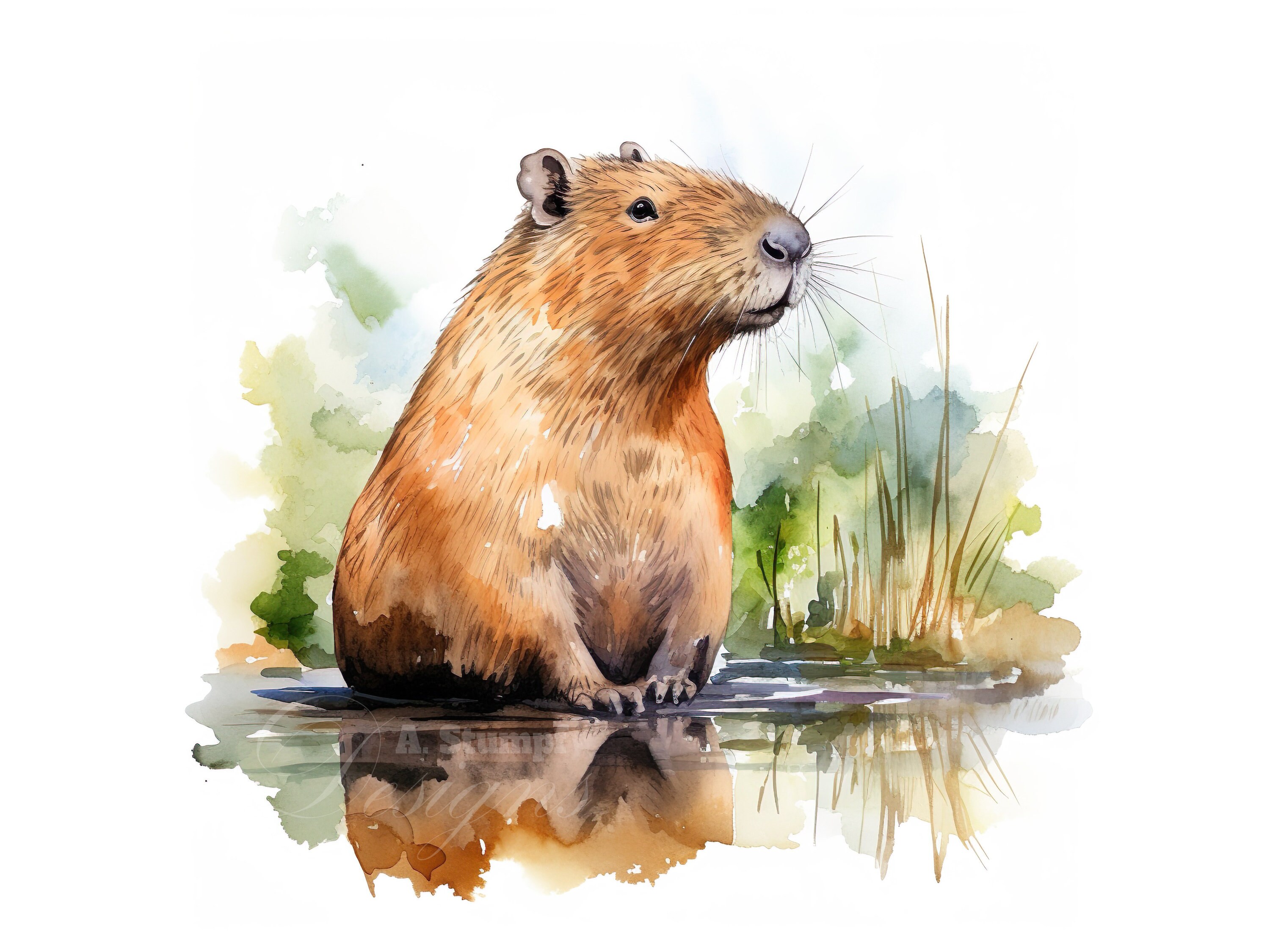 10 Capybara Clipart Set Digital Watercolor Painting Cute Adorable ...