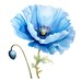 Blue Poppy Clipart Watercolor Bundle Floral Clipart Elegant Flowers ...