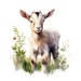 10 Baby Goat Clipart Set Digital Watercolor Painting Farm Animal Clip ...