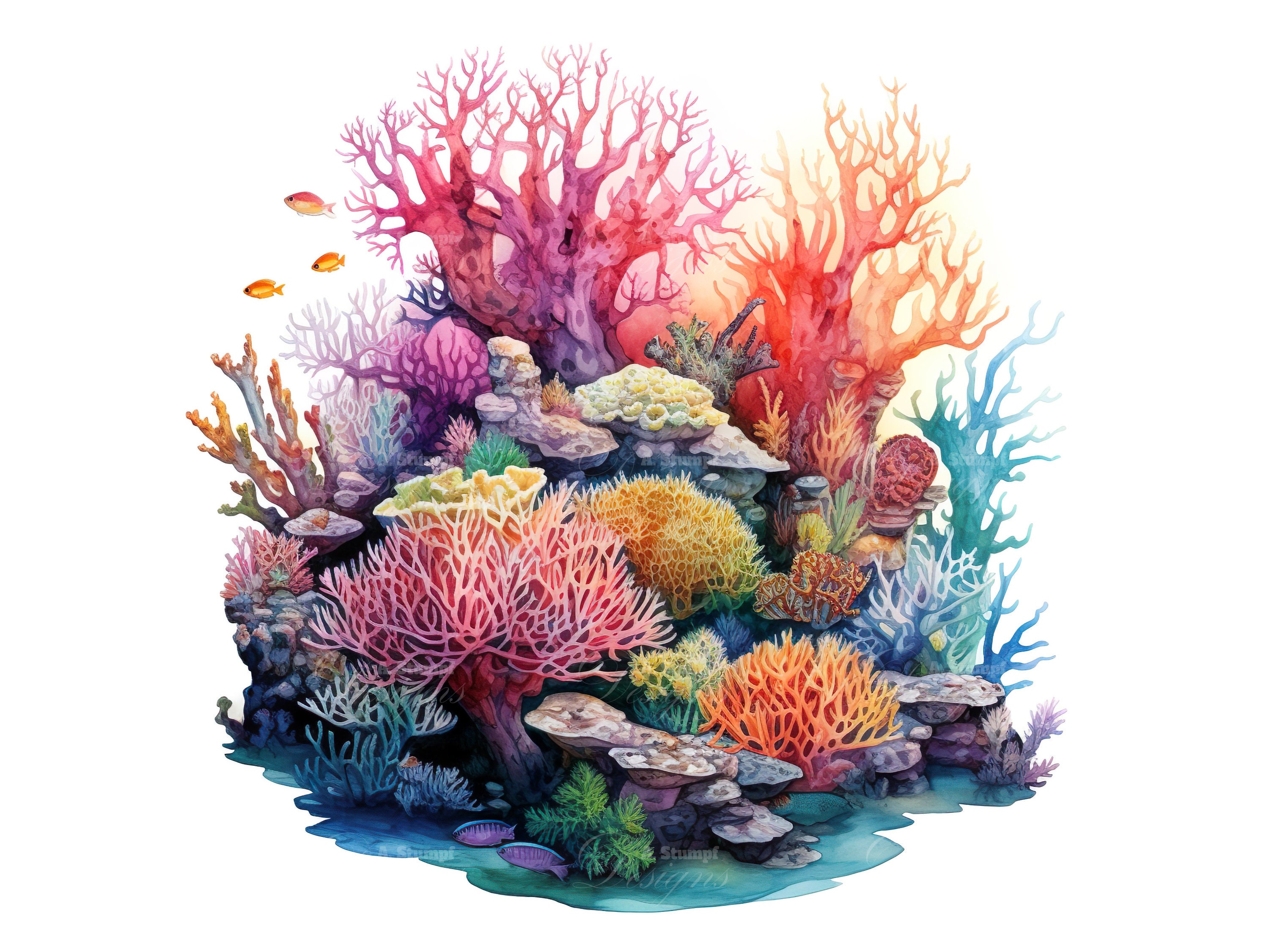 Coral Reef Clipart Ocean Art Bundle Watercolor Underwater Background ...
