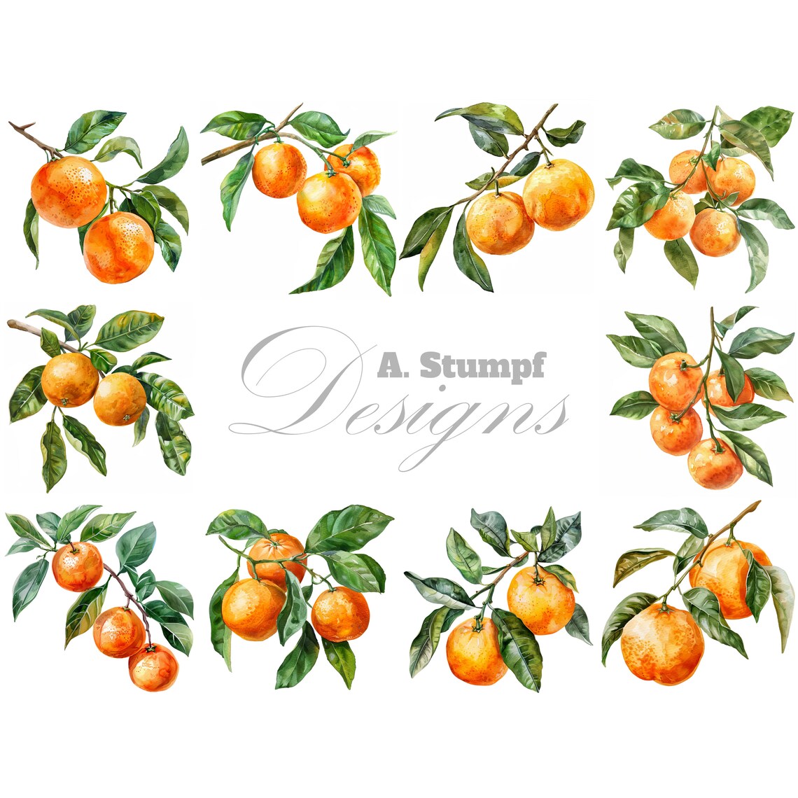 Orange Clipart Set Citrus Clip Art Fruit Art Print Fresh Fruit Graphics ...