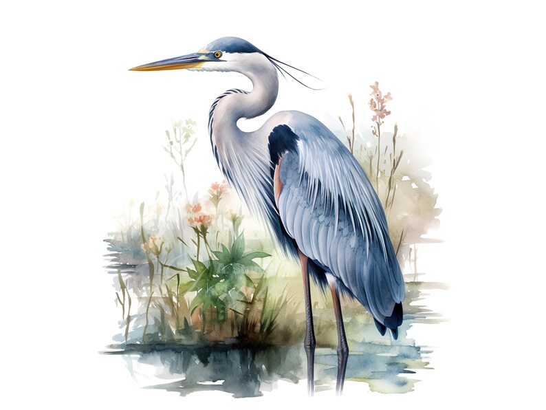 10 Blue Heron Clipart Set Digital Watercolor Painting Coastal Wetlands ...