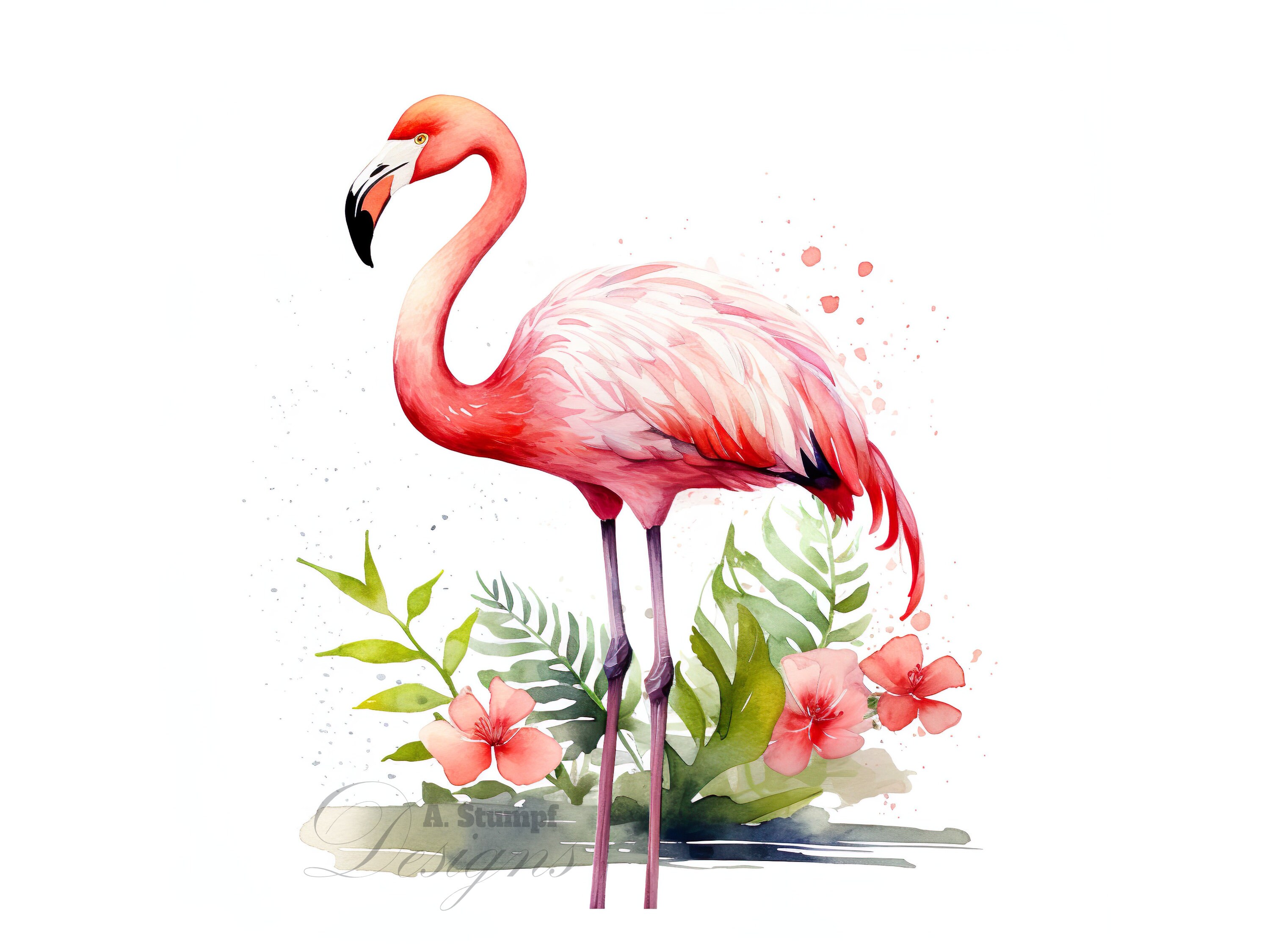 10 Flamingo Clipart Set Digital Watercolor Painting Safari Animal ...