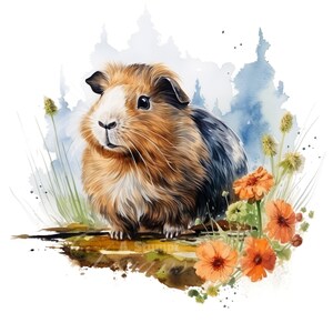 Guinea Pig Clipart Set 10 High Quality Jpgs, Pet Graphics, Printable ...