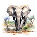 10 Elephant Clipart Set Digital Watercolor Painting African Safari ...