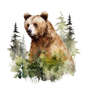 10 Bear Clipart Set Digital Watercolor Mammal Painting Woodland Animal ...