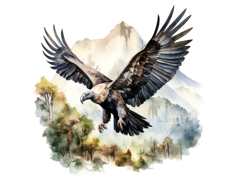 10 Flying Condor Clipart Set Digital Watercolor Painting Exotic ...