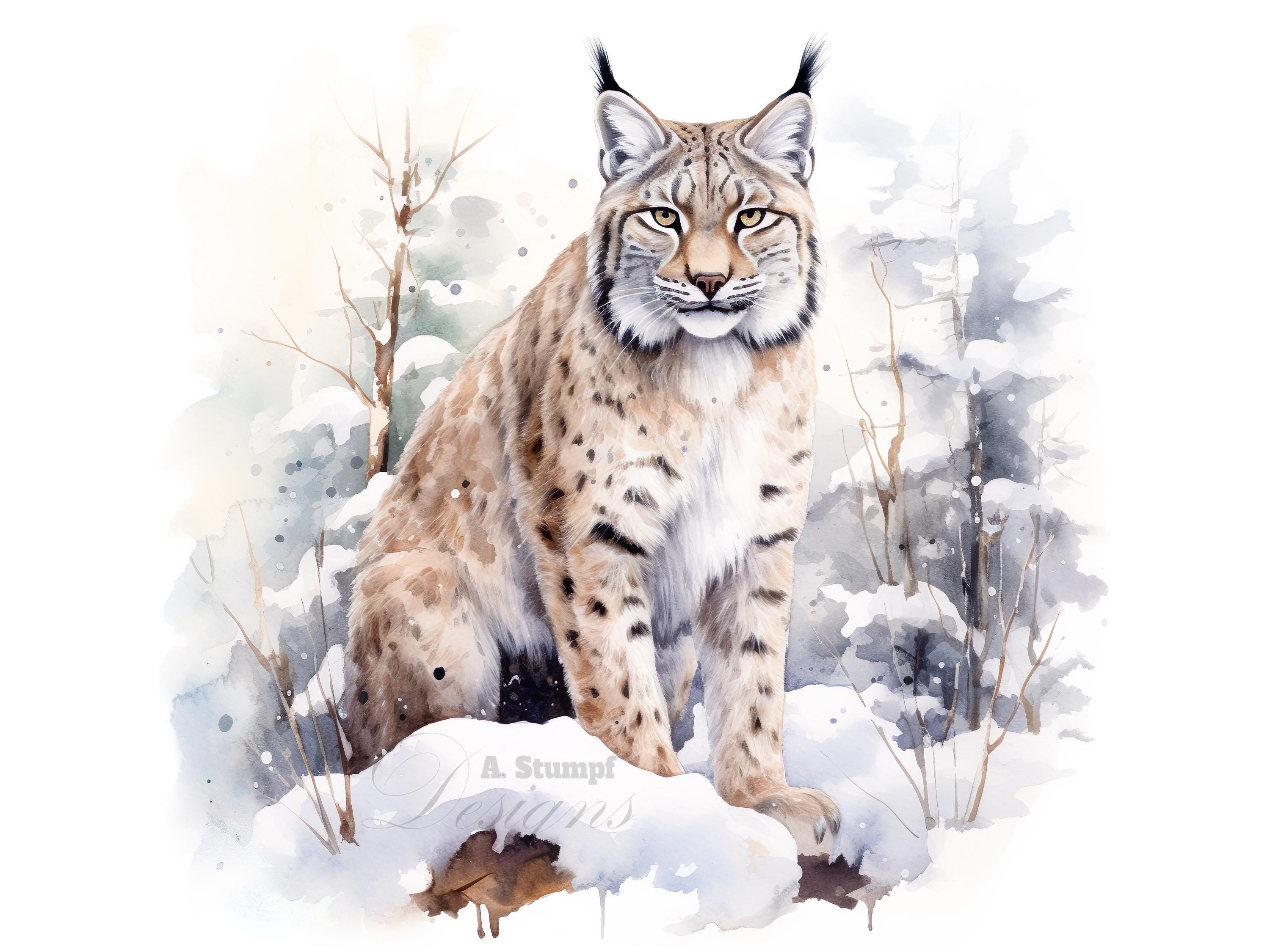 10 Lynx Clipart Set Digital Watercolor Painting Woodland Animal Nature ...