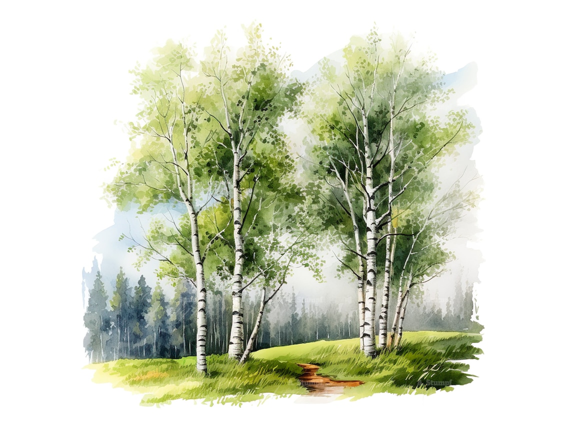 Birch Tree Clipart Nature Clip Art Bundle Watercolor Printable Wall Art ...
