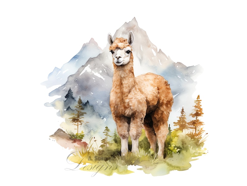 10 Alpaca Clipart Set, Digital Watercolor Paintings, Farm Animal ...