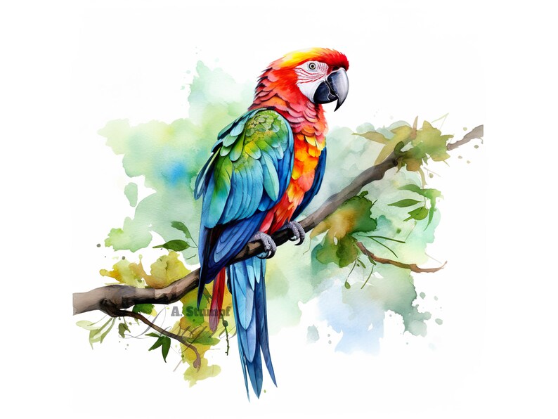 Parrot Watercolor Clipart Set 10 Digital Images Clip Art Watercolor Art ...