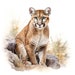 10 Puma Clipart Set, Digital Watercolor Painting, Wild Cat Illustration ...
