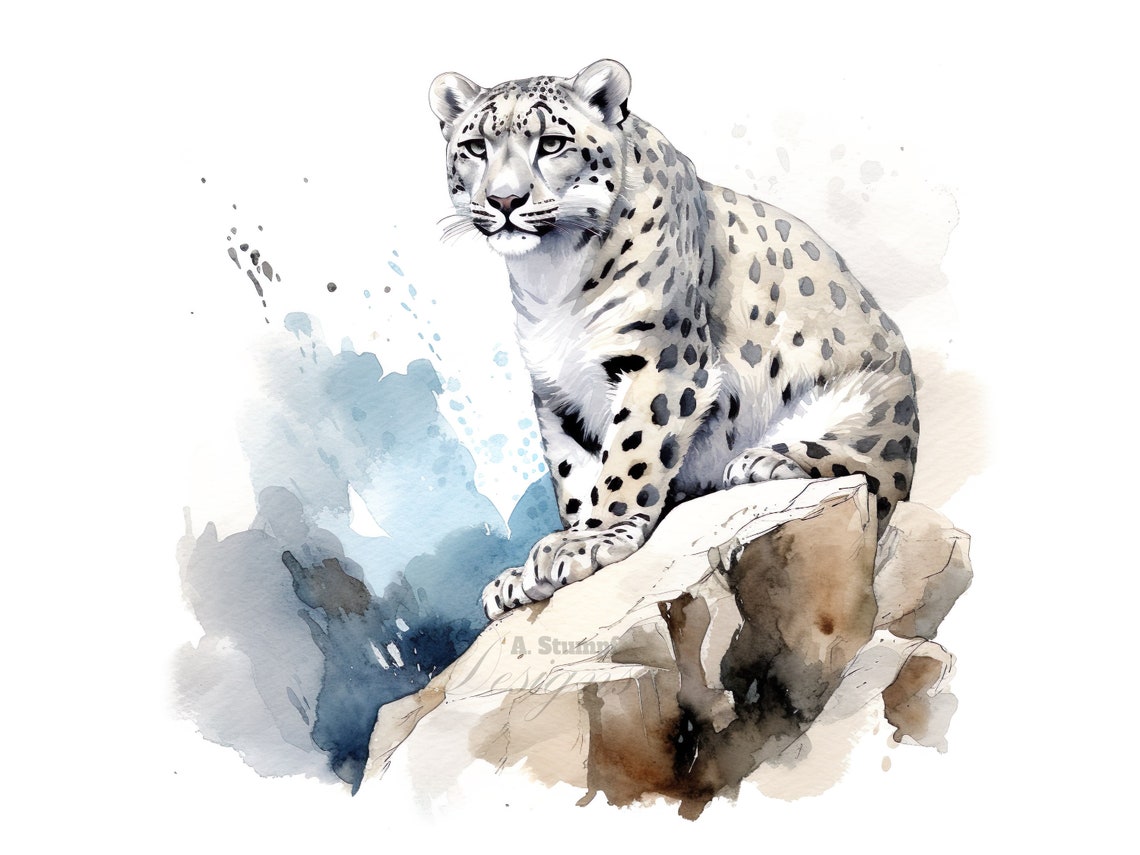 Snow Leopard Clipart Set of 10 High Quality Jpgs Digital - Etsy