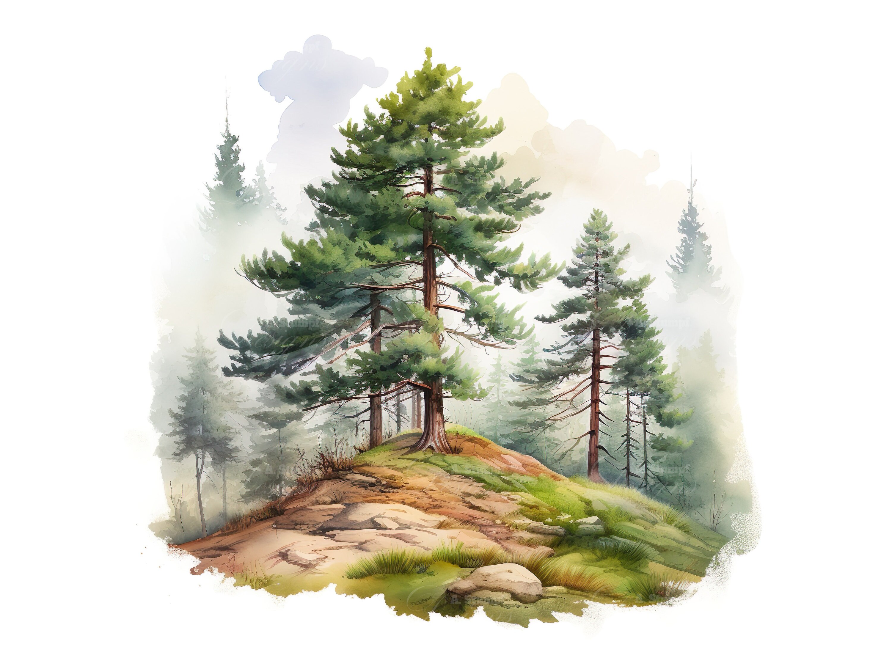 10 Pine Forest Landscape Scene Clipart Set Digital Watercolor Woodland ...